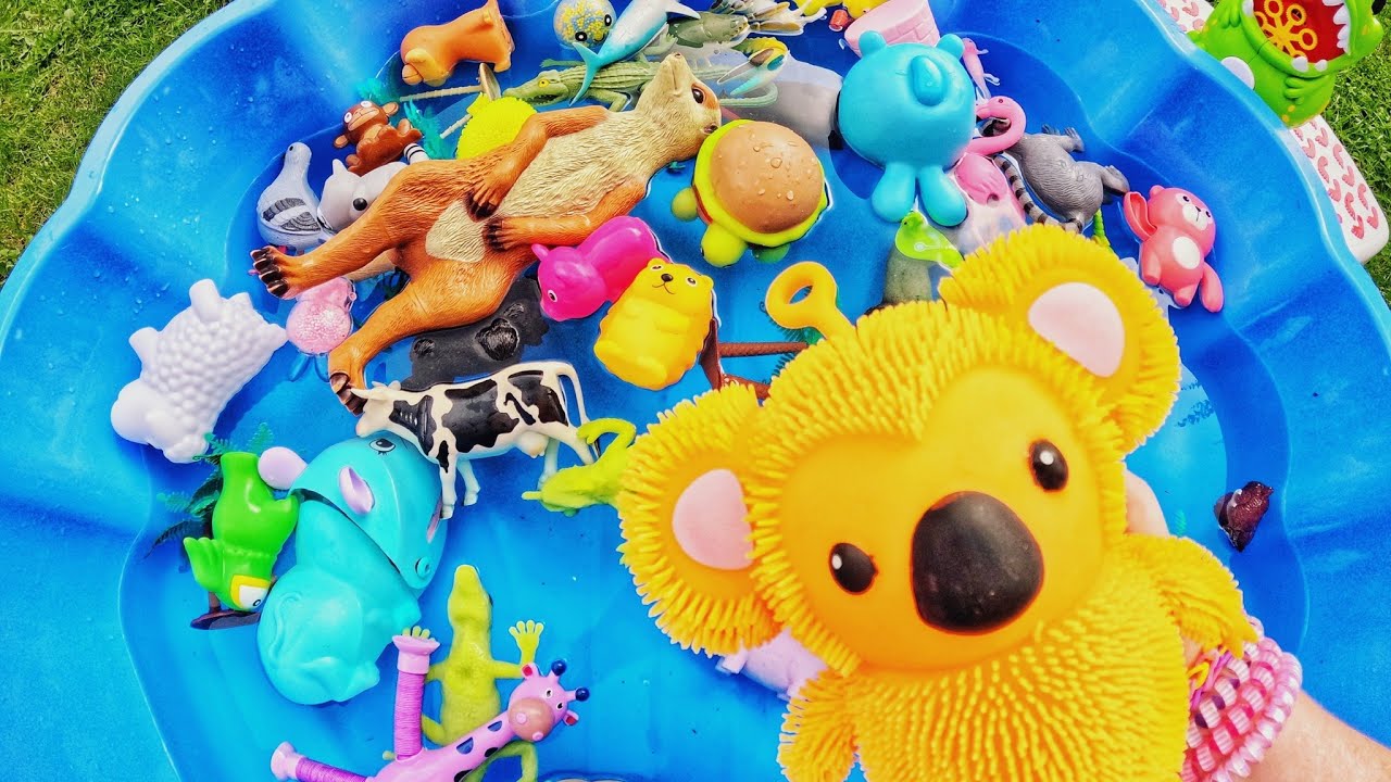 Learn Animal Names: Cheetah Frog Rat | Babies Toddlers Preschoolers ...