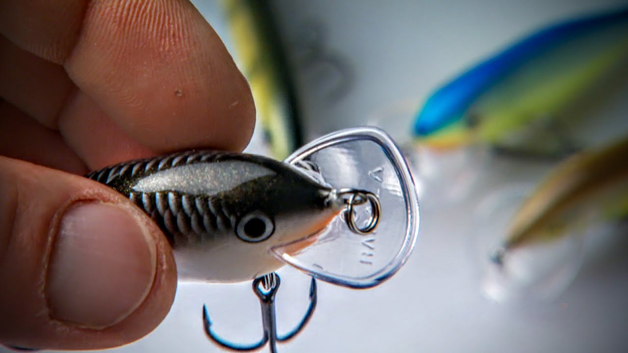 Scatter Raps: How Do They Work - And Do They Catch Fish? - YouTube