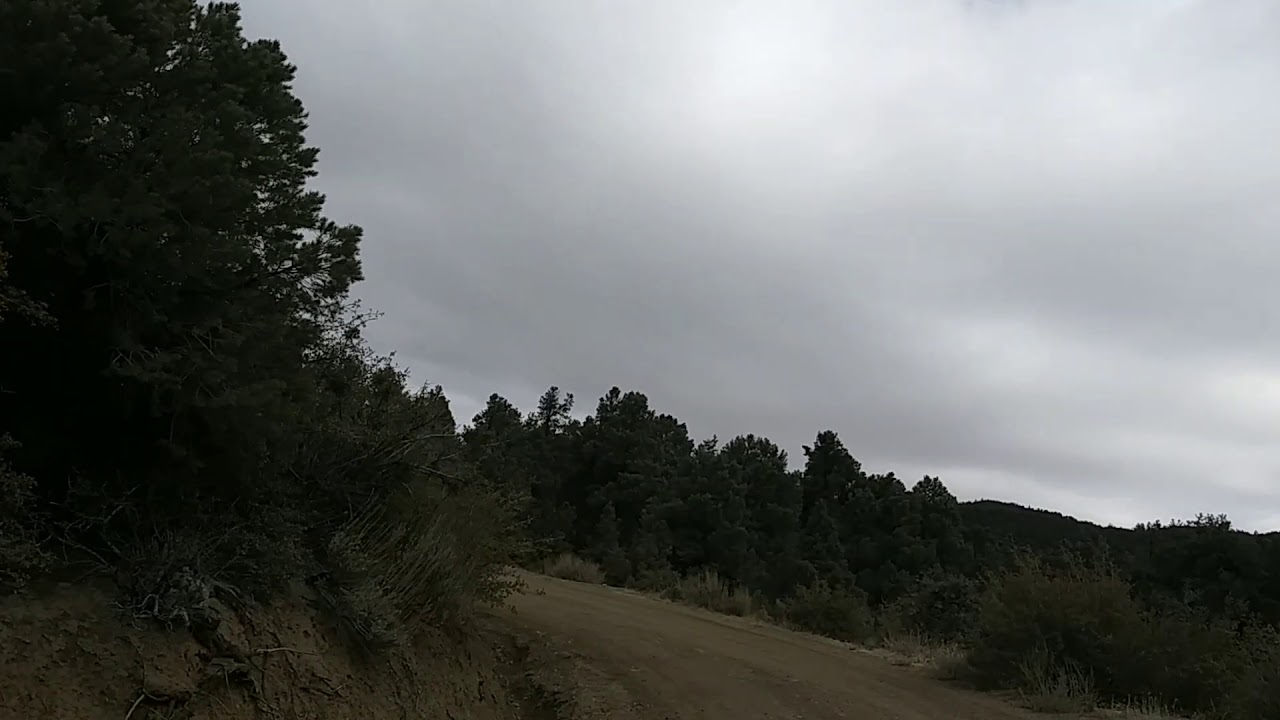 Dec 27 20 Quad ride Toad Springs section - YouTube