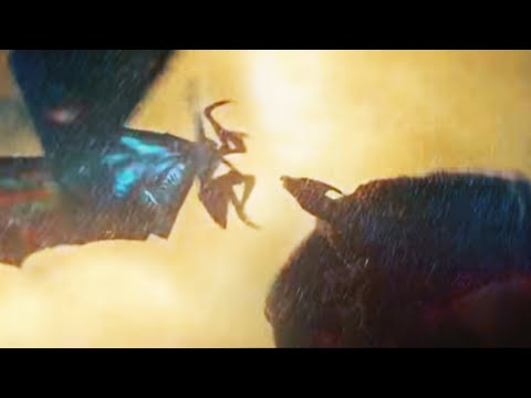 Mothra vs Rodan
