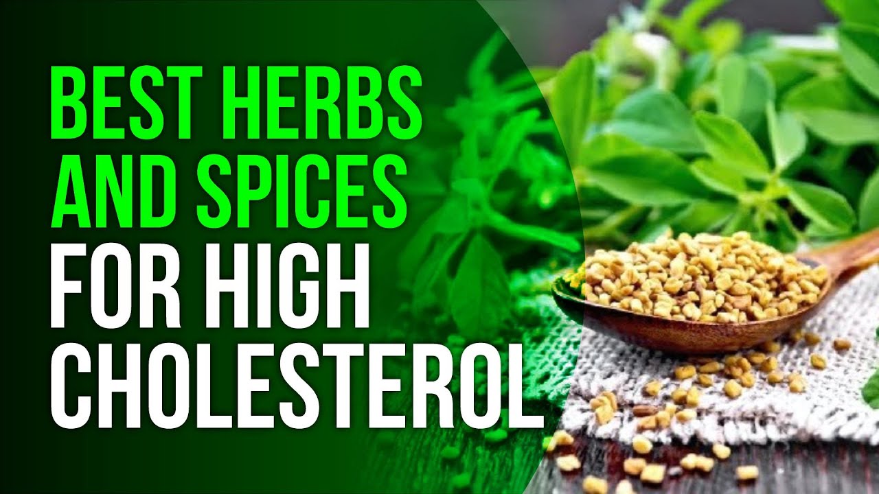 7 Best Herbs And Spices To Treat High Cholesterol Youtube