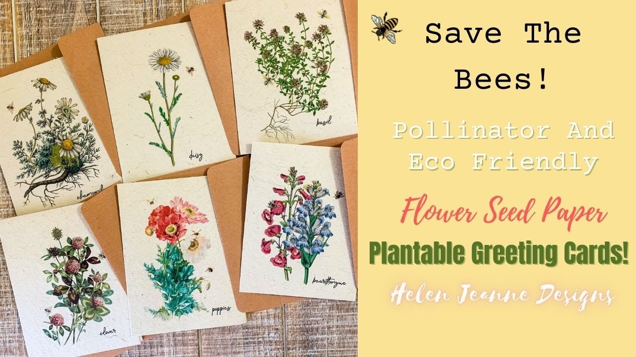 Eco Friendly Plantable Greeting Cards / Flower Seed Paper Cards / Bee ...
