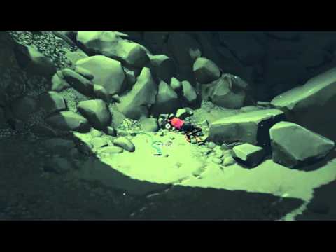 Firewatch brian - powenunique