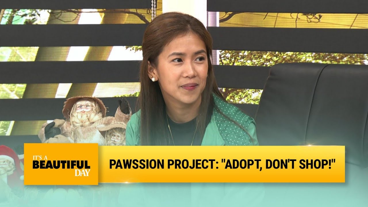 Pawssion Project: "Adopt, don't shop!"! | It’s A Beautiful Day - YouTube
