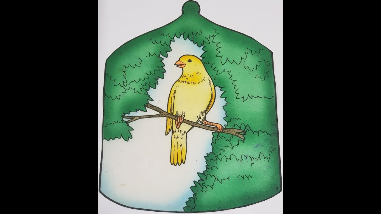 HISTÓRIA: O CANARINHO - YouTube