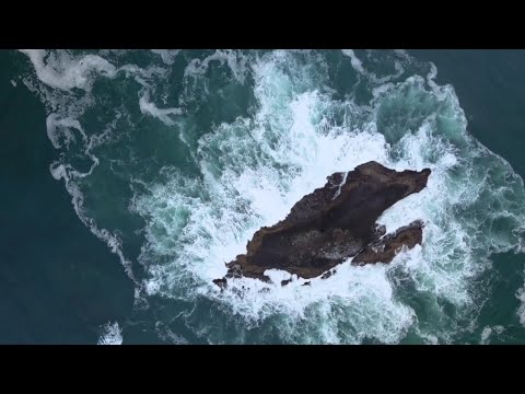 VIDEO ALAM CINEMATIC NO COPYRIGHT(temlplate nature videoHD)INSPIRING CINEMATIC BACKGROUND VIDEOS