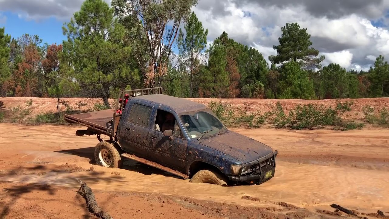 Mt Topper and Clive state Forests 30-31st of March - YouTube