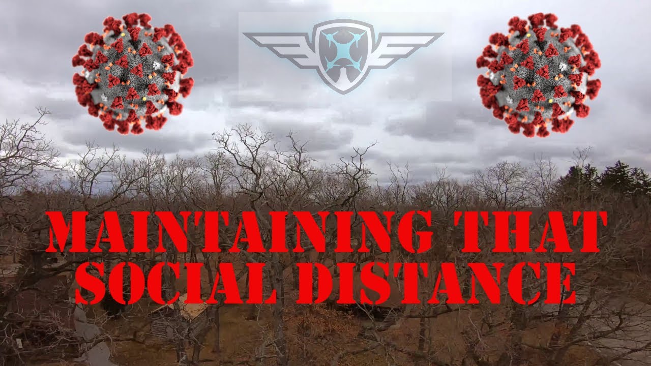 PARKS CLOSED... Moose out front shoulda told ya - YouTube