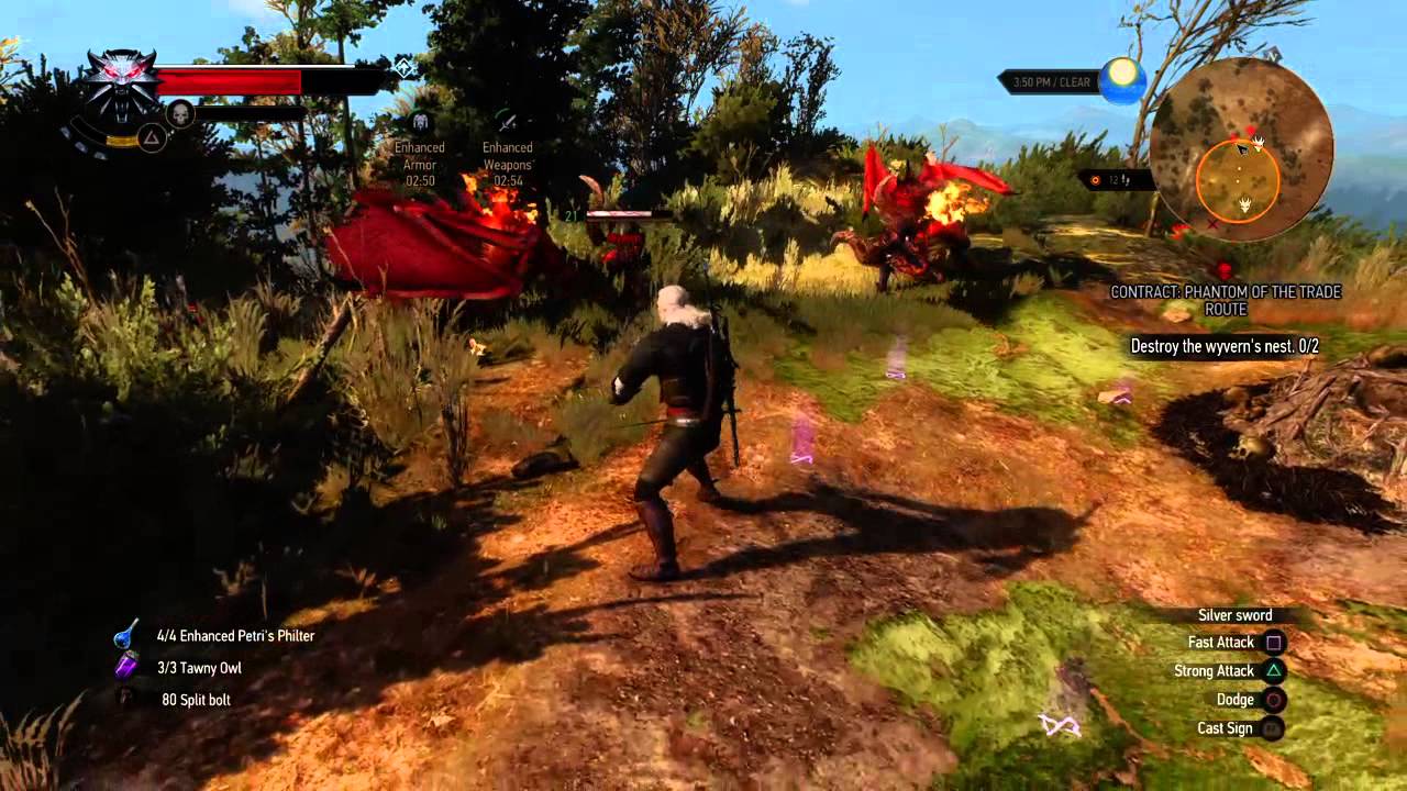 The Witcher 3 Royal Wyvern - YouTube