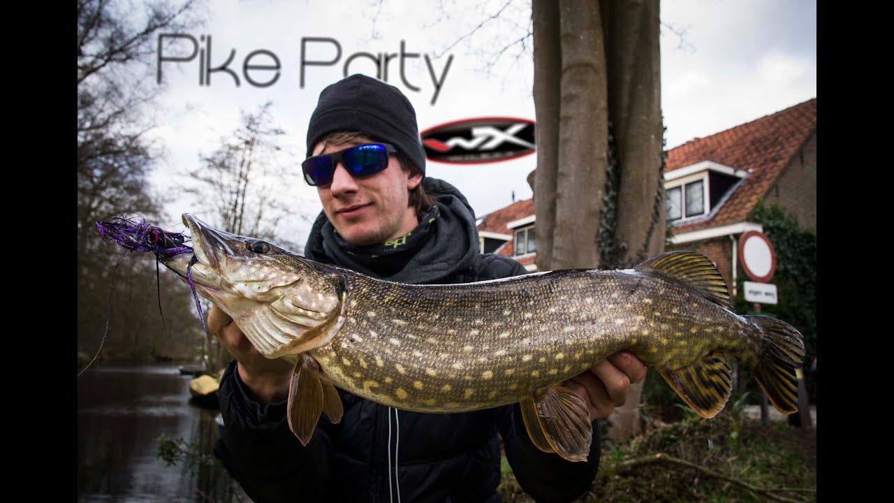Polder Pike Party - Pike On The Fly - YouTube