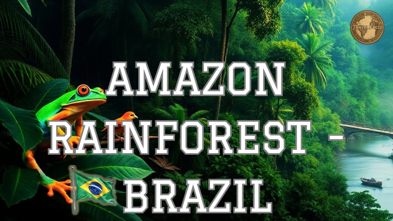 The Hidden World 🌎 Inside the Amazon Rainforest | Travel Facts - YouTube
