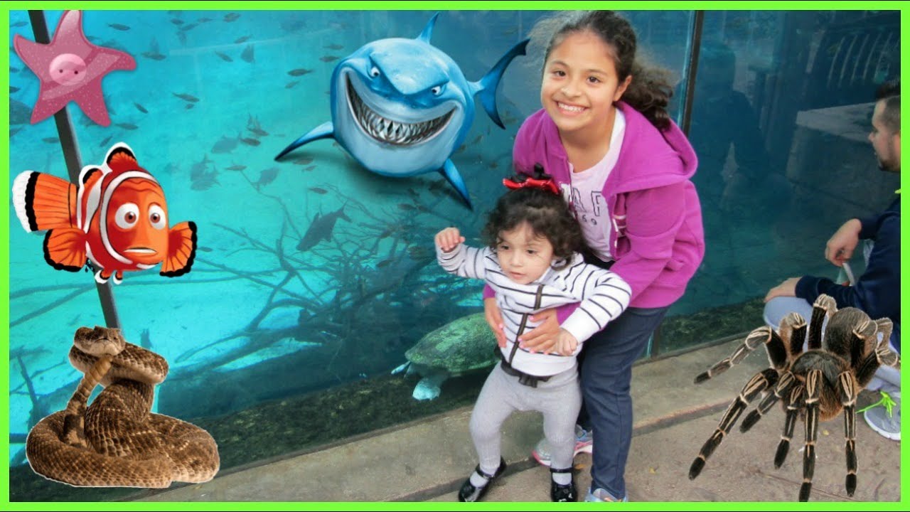 OUTDOOR Playground for Children in park Zoo Family Fun for Kids ...