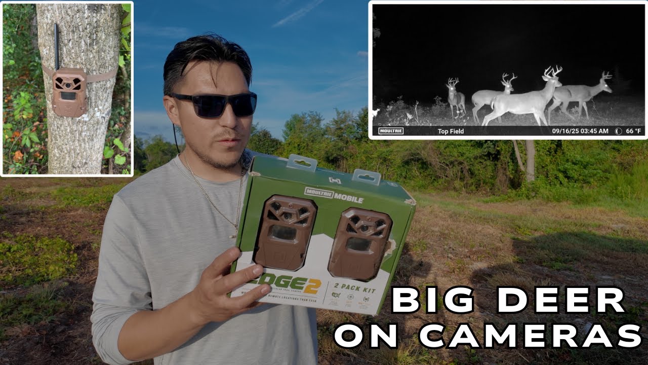 Setting Up Moultrie Mobile Trail Cameras on the Hunting Property - YouTube