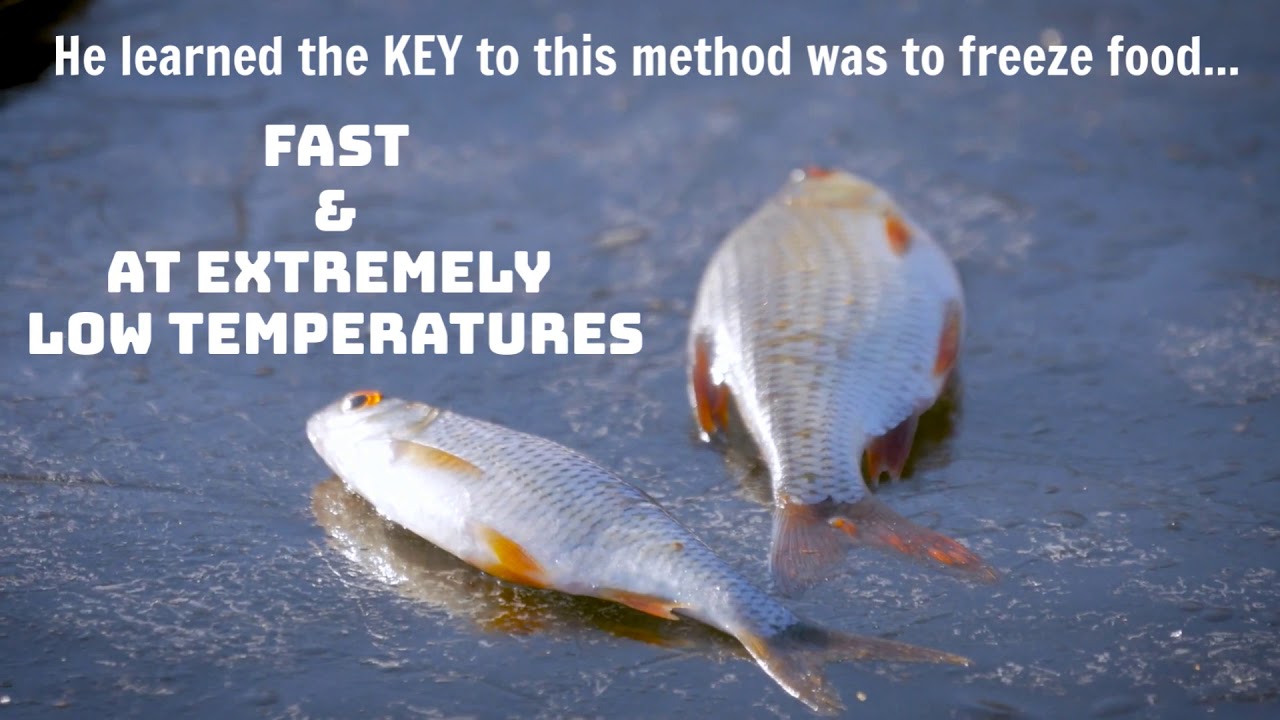 The Flash Freezing Story with Naked Seafood | The Best Frozen Seafood ...