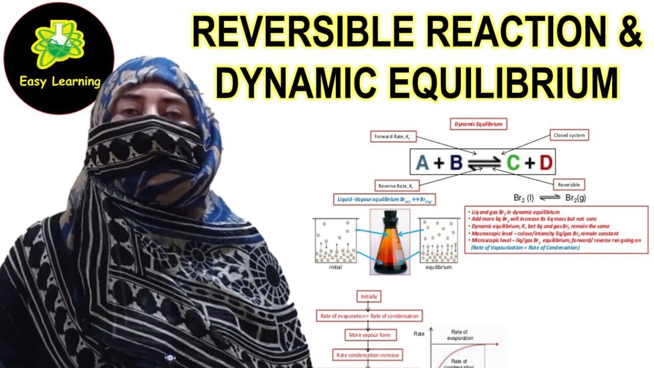 Reversible Reactions & Dynamic Equilibrium| Chemical Equilibrium|Class ...