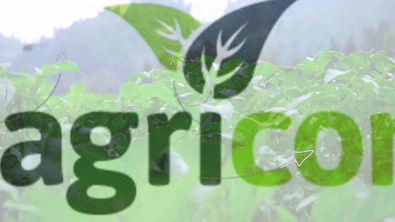 AGRICON INDONESIA - YouTube