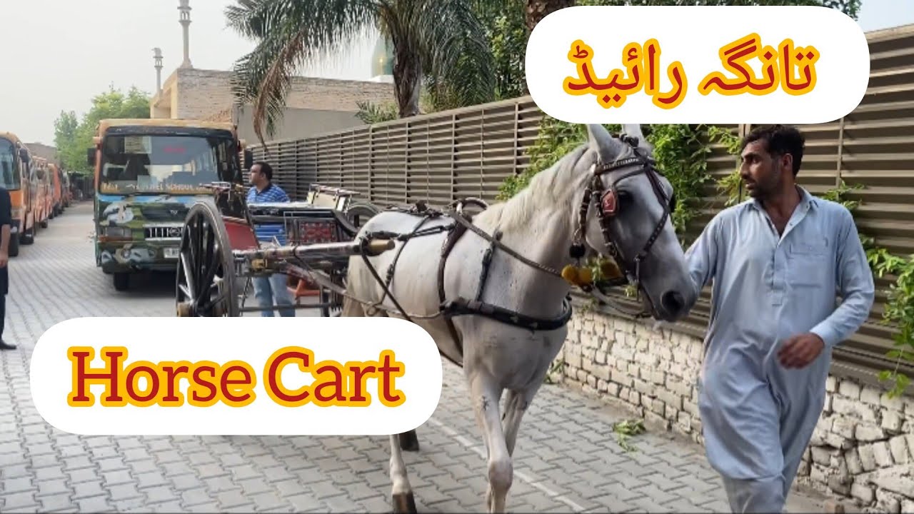 Country Life Vlog on Horse cart|Village Life in Pakistan|Horse Carriage Driving ...