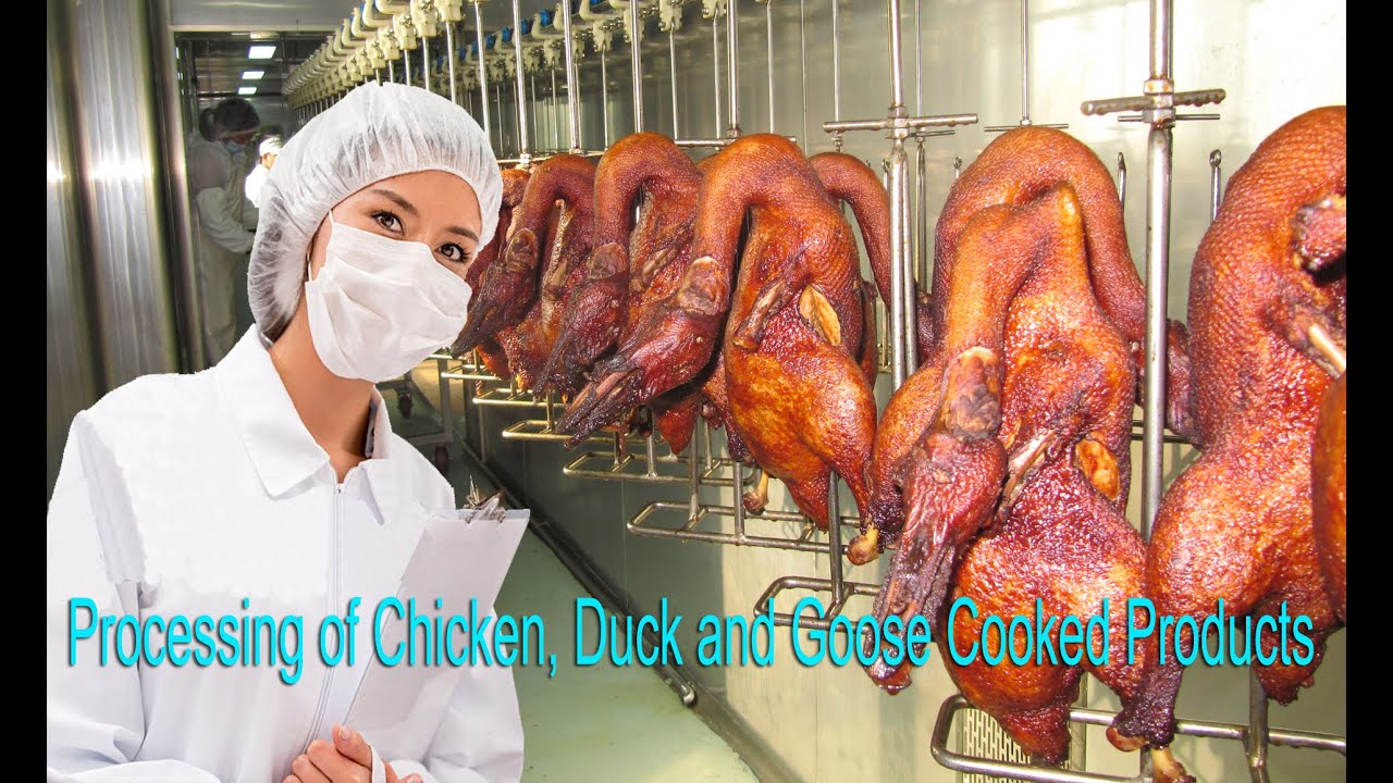 Modern poultry processing technology, marinated chicken and roast duck ...