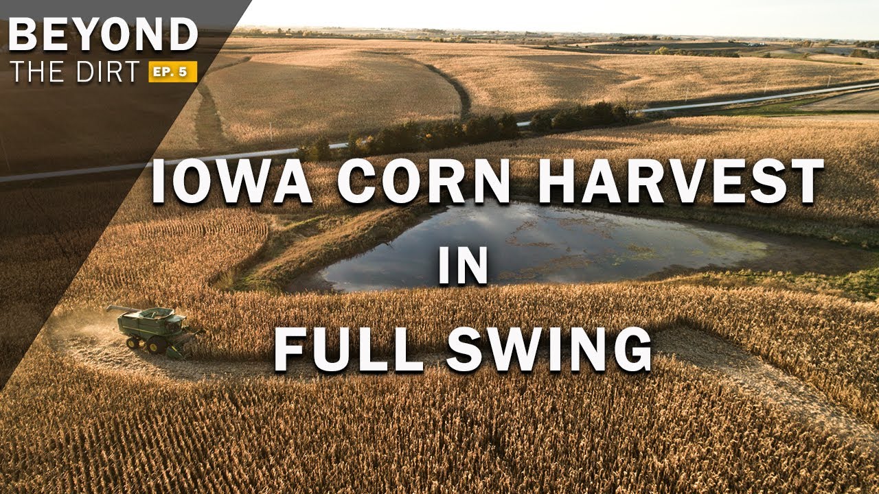IOWA CORN Harvest in FULL Swing | BEYOND THE DIRT 005 - YouTube