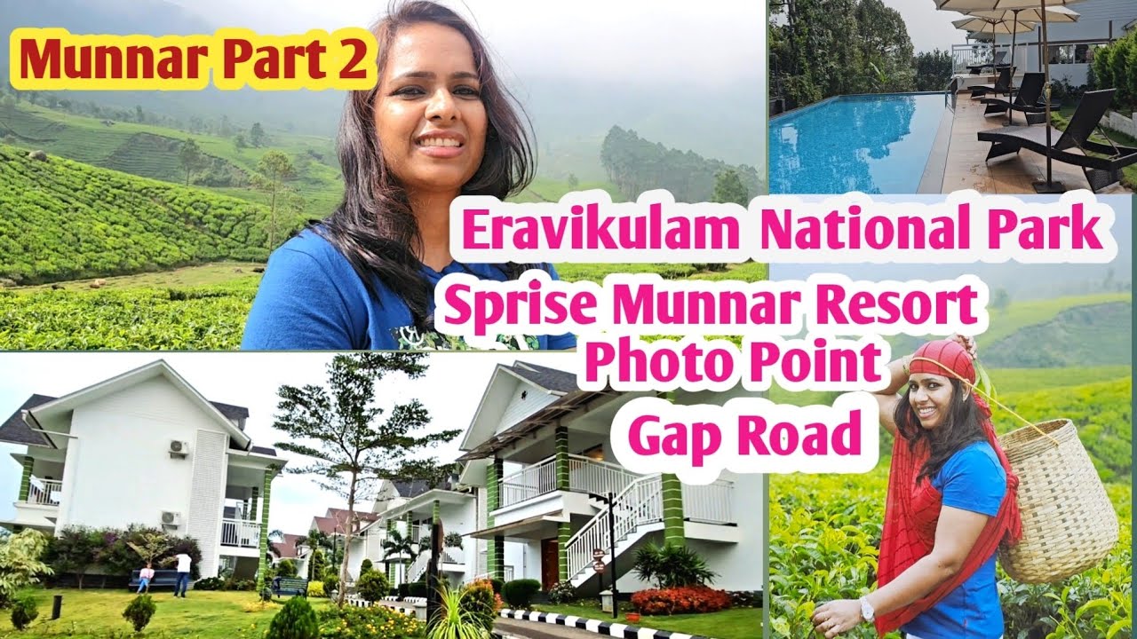 Munnar ,Sprise Munnar the Beautiful Staycation (Eravikulam National ...