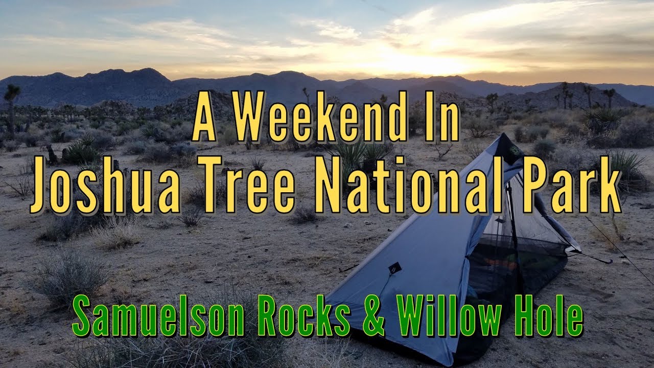 A Weekend In Joshua Tree National Park - Samuelson Rocks & Willow Hole - YouTube