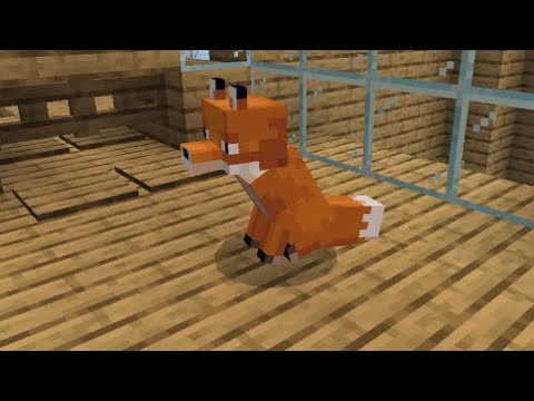 Minecraft fox pets sitting - YouTube