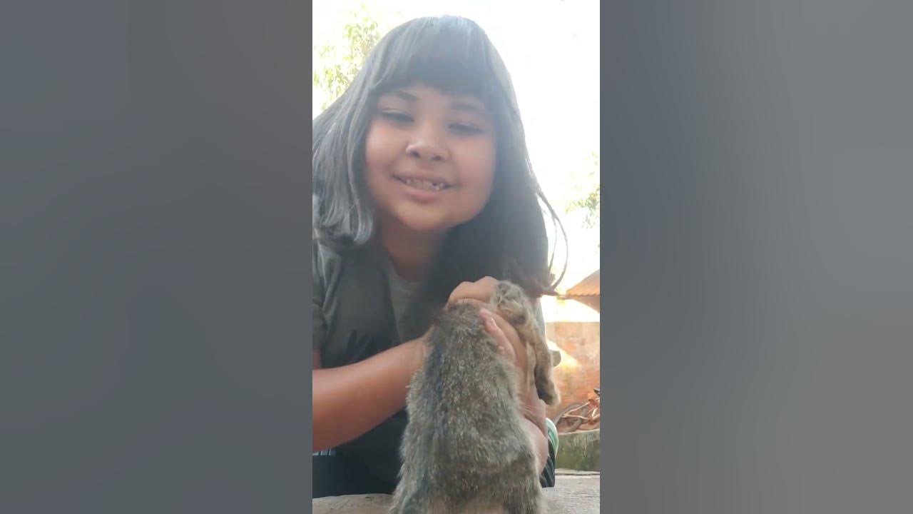 11 de maio de 2023 - YouTube