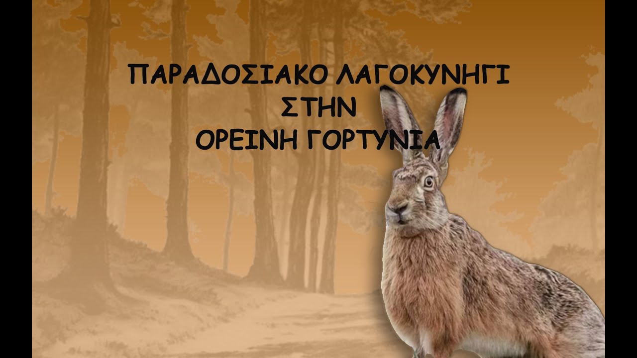 ΠΑΡΑΔΟΣΙΑΚΟ ΛΑΓΟΚΥΝΗΓΙ ΣΤΗΝ ΟΡΕΙΝΗ ΓΟΡΤΥΝΙΑ - YouTube