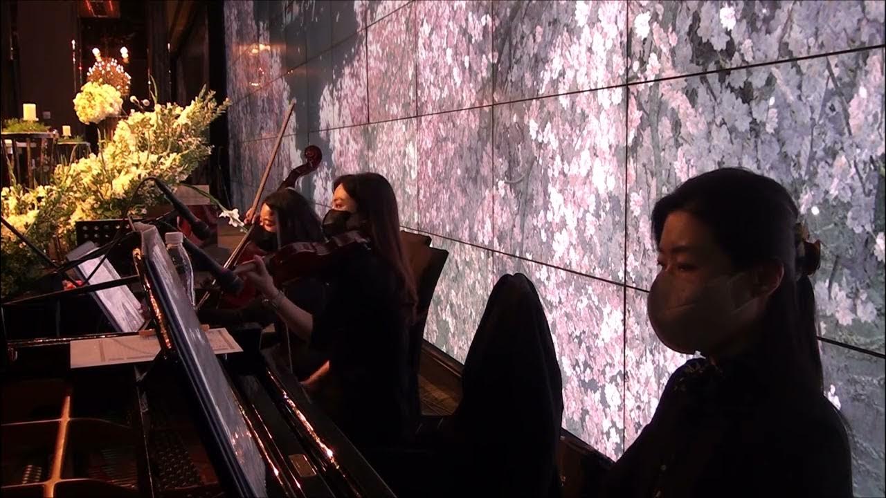 웨딩연주결혼식연주하우스웨딩크레센도jw메리어트호텔동대문스퀘어피아노3중주운명의 연인에게 Youtube