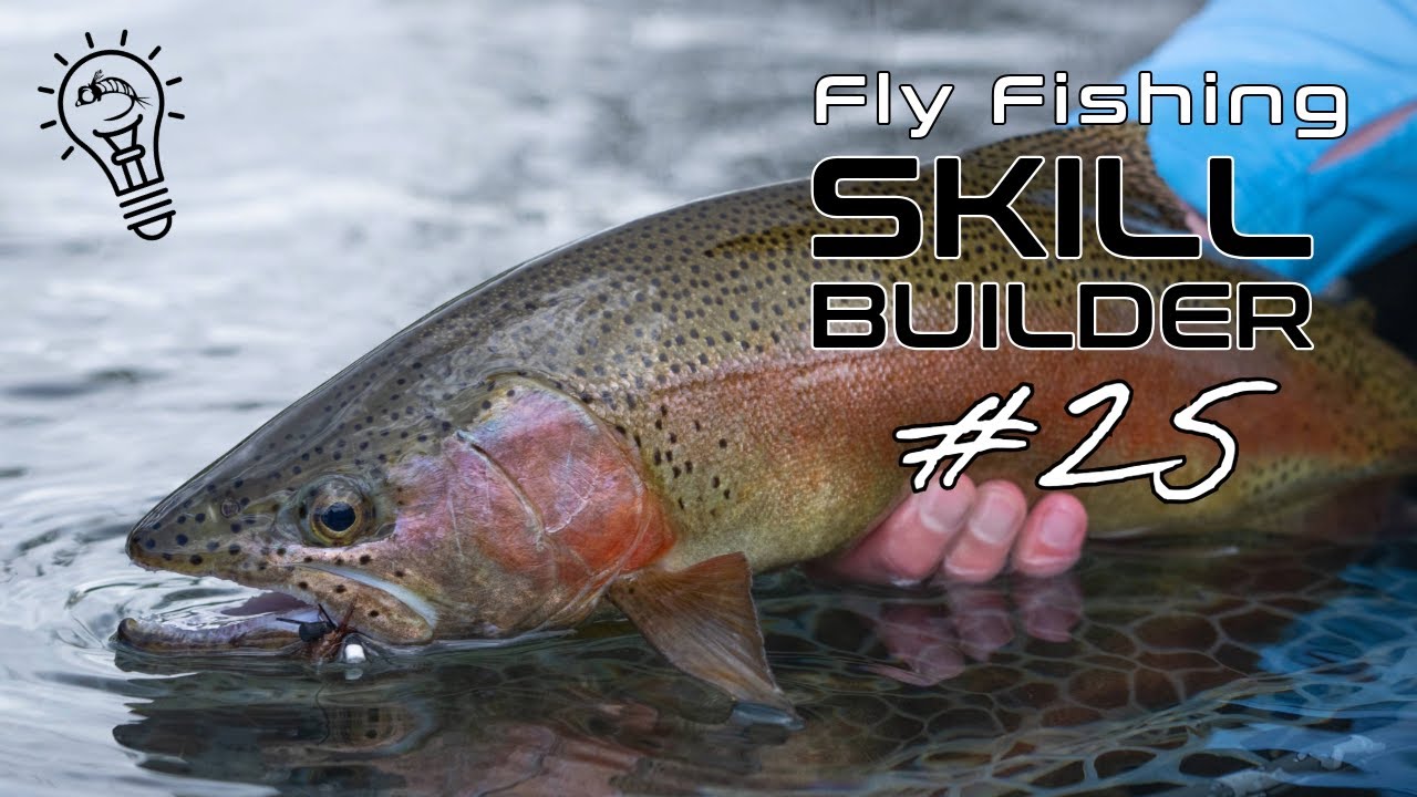 Catch More Fish with This Dry Fly Leader from Lance Egan! | Fly Fishing ...