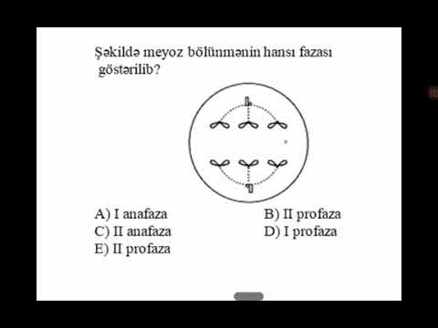 Biologiya XI sinif imtahan suallari videotest ve helli 17
