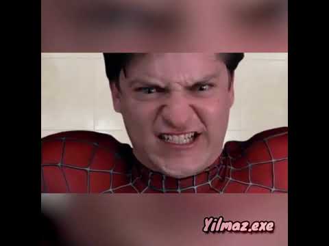 The Spider-Man found in toilet