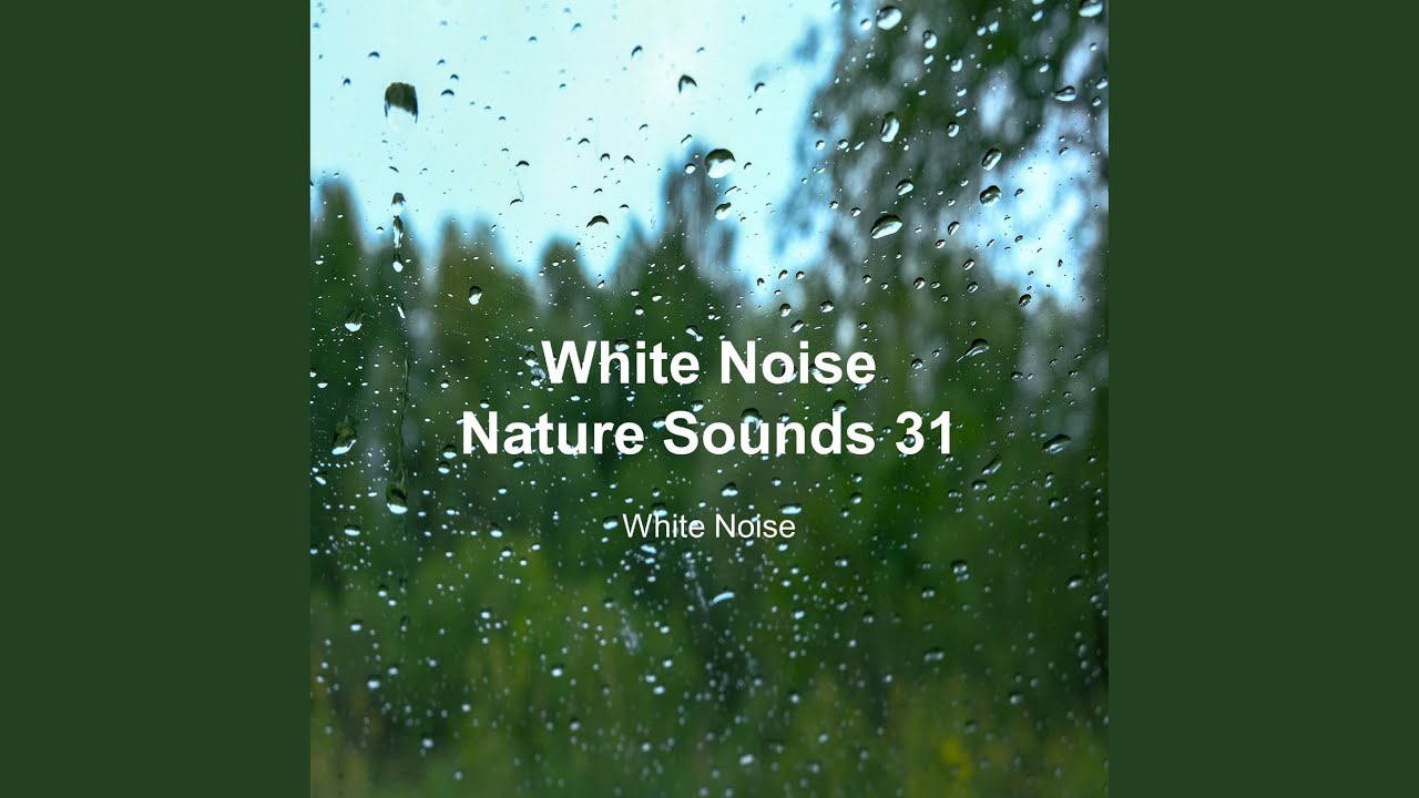 Birds Twitter Sound - YouTube