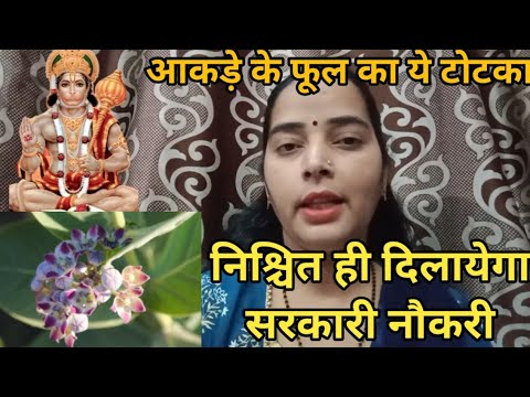 आकड़े के फूल का अचुक उपाय निश्चित ही दिलाएगा सरकारी नौकरी || Aak Ke ...