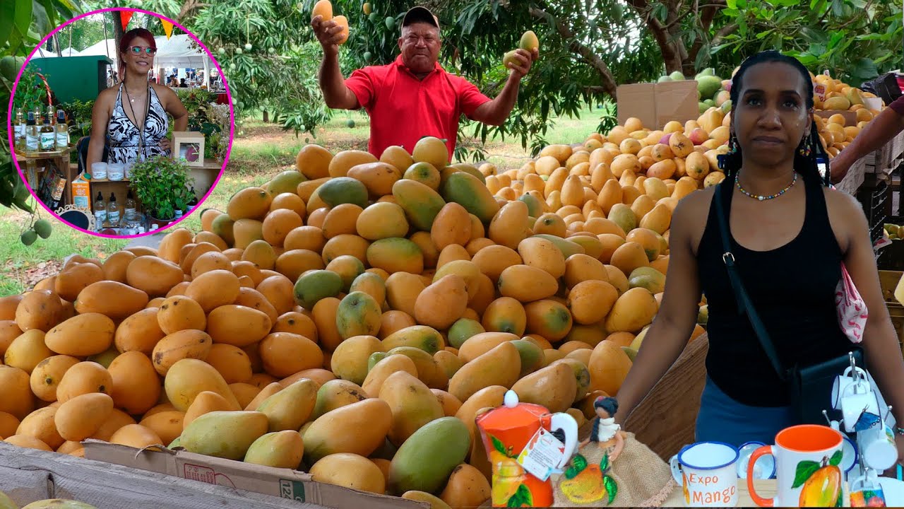 La Feria del Mango asi Se pierden en Bani, La vida del campo - YouTube