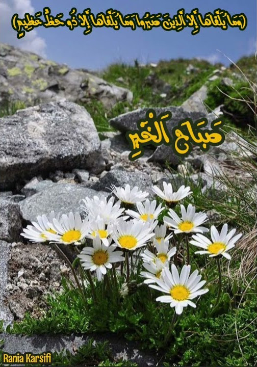 وَمَا يُلَقَّاهَا إِلَّا الَّذِينَ صَبَرُوا وَمَا يُلَقَّاهَا إِلَّا