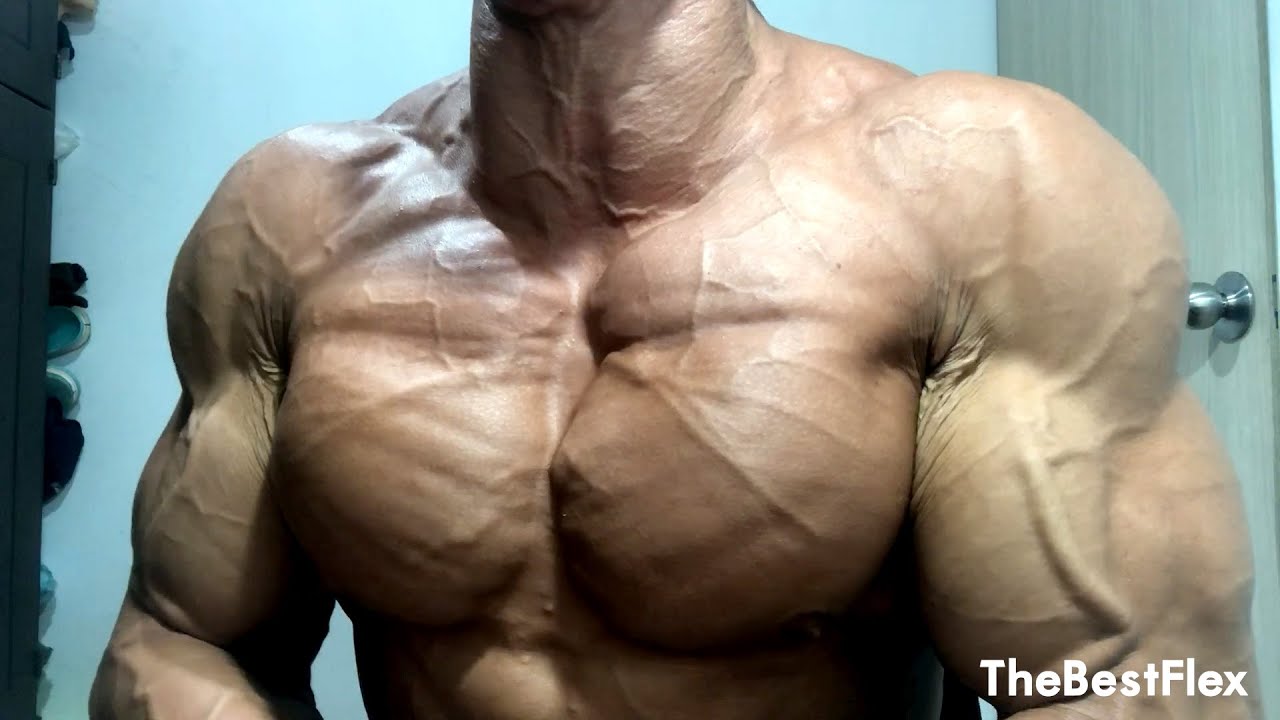 Huge and Shredded - Steven C - YouTube