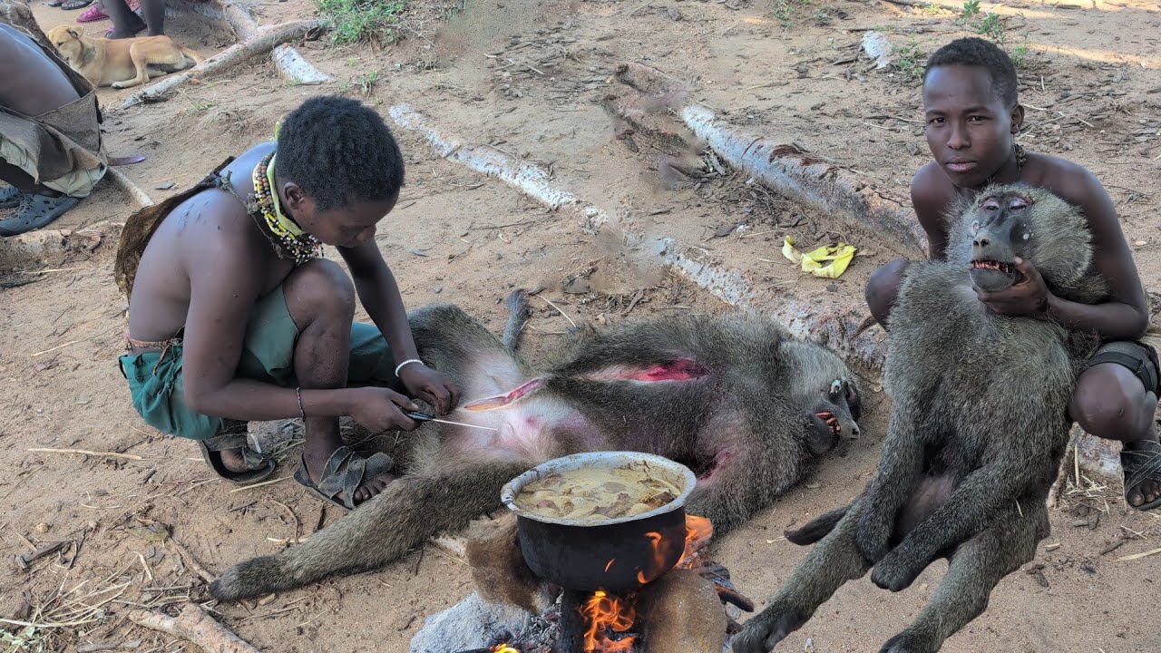 Hadzabe tribe Eating Wild Baboon After Successful hunting, Very ...