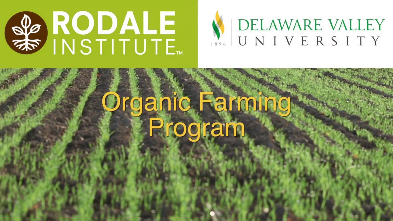 Organic Farming Program Receives USDA Grant - YouTube