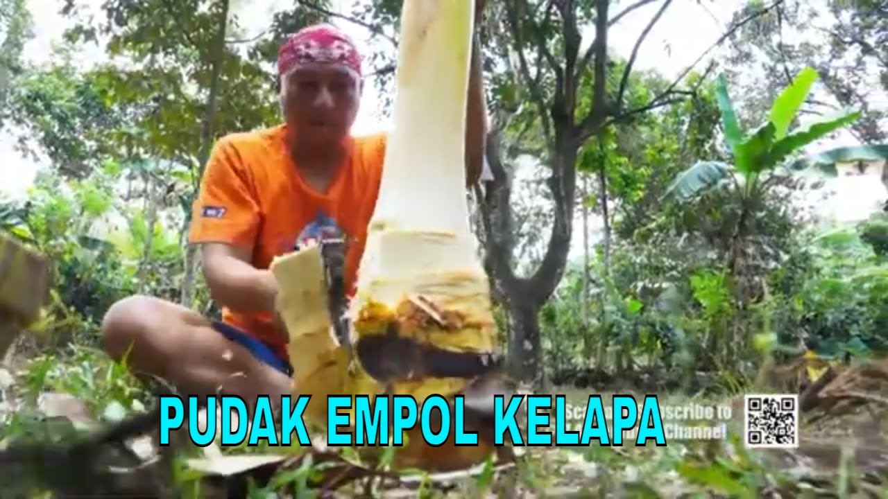 PUDAK EMPOL KELAPA | JEJAK SI GUNDUL (09/11/23) - YouTube