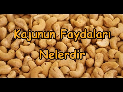 Kajunun Faydaları Nelerdir