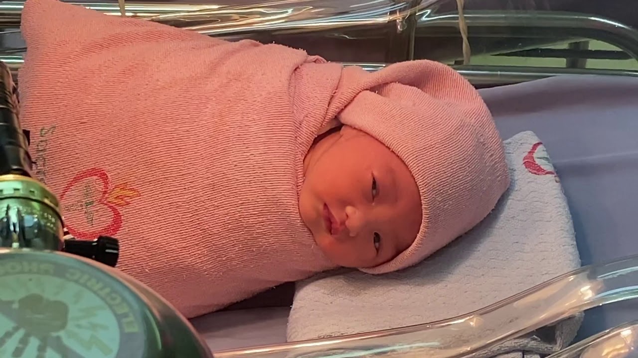 Baby Reign 01-04-20 - YouTube