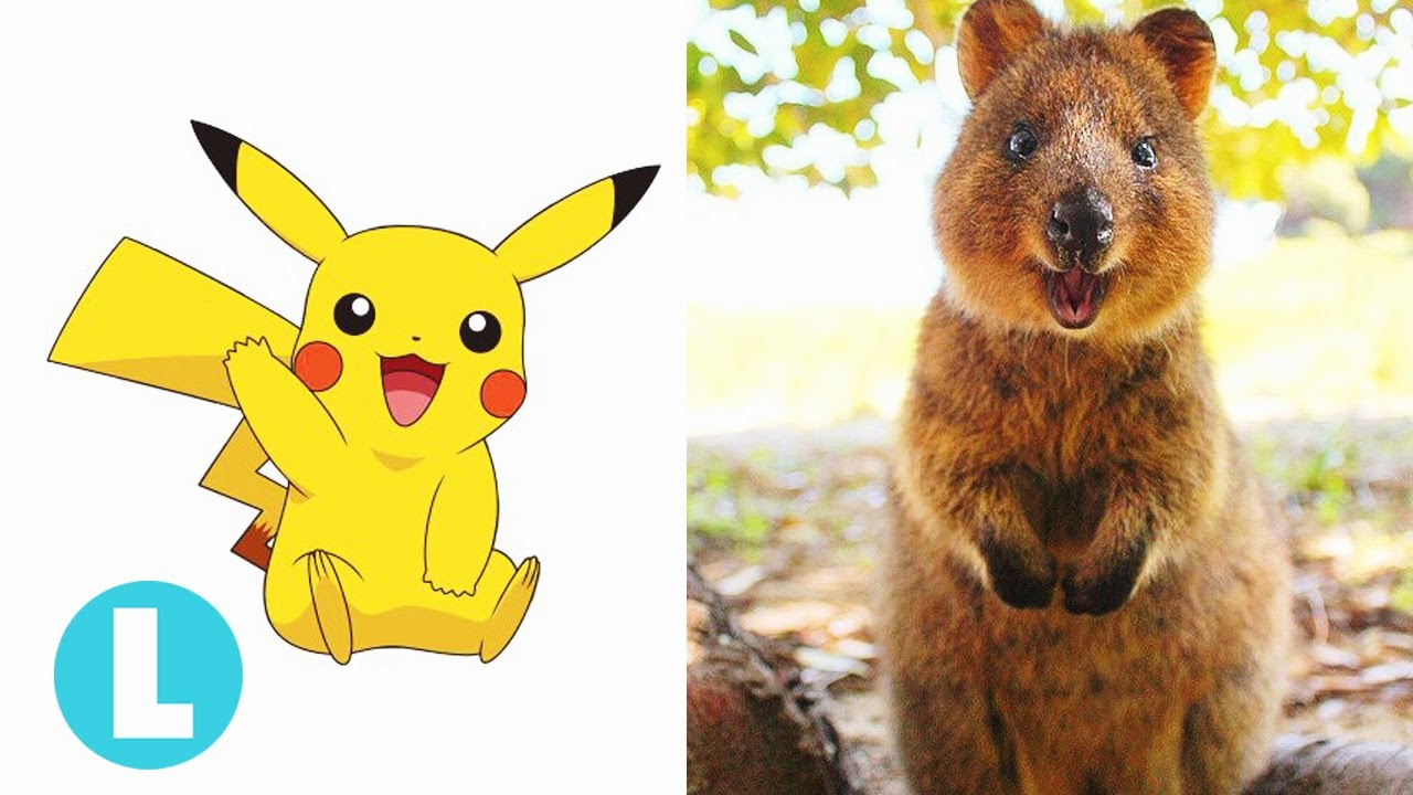 Pokemon Based Off Real Life Animals! - YouTube