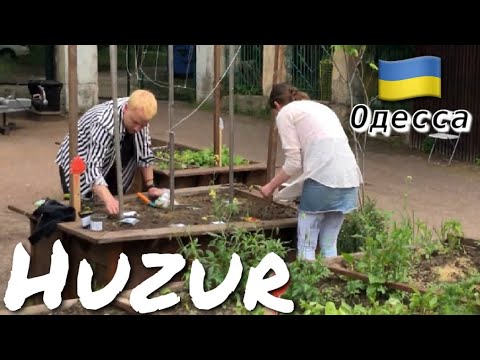 UKRAYNA’DA GÖRDÜĞÜM EN GÜZEL YER | Green Teather | Odessa |