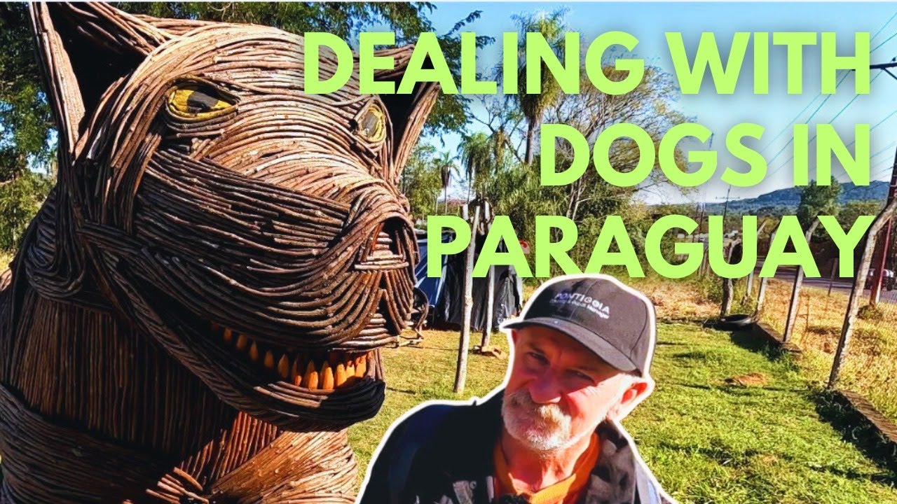 Be 'Dog Wise' in Paraguay! - YouTube