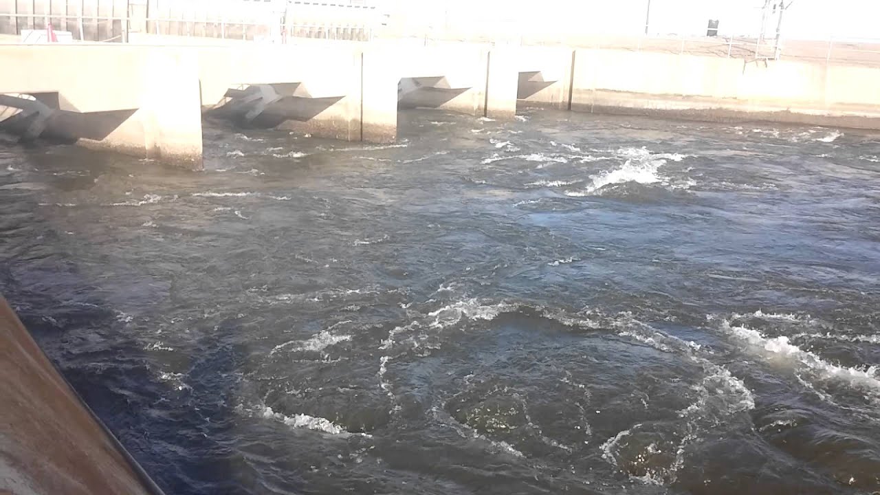 California Aqueduct Gates (north) wide open - YouTube
