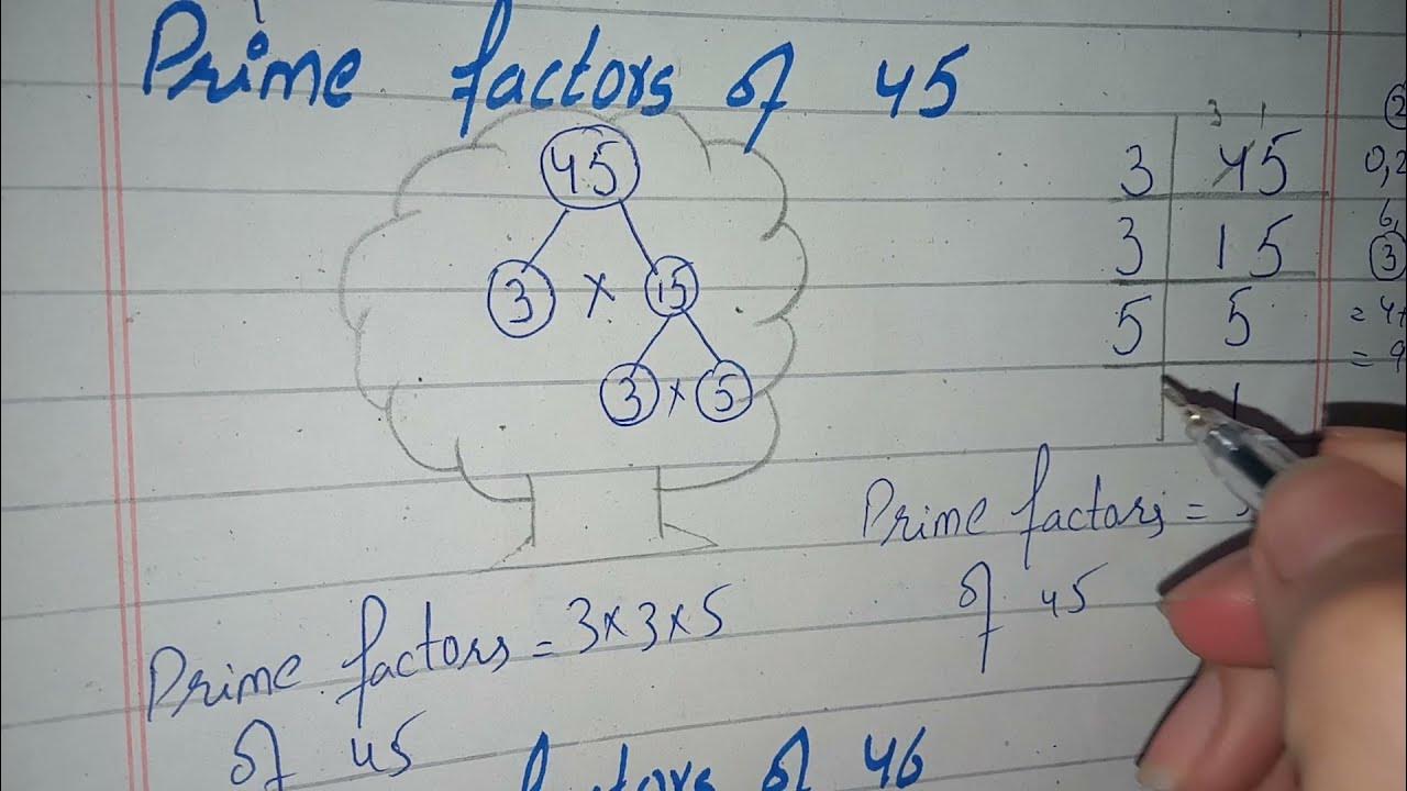 Factor Tree Of 45 Prime Factorization Of 45 YouTube factor-tree-of-45-prime-factorization-of-45-youtube