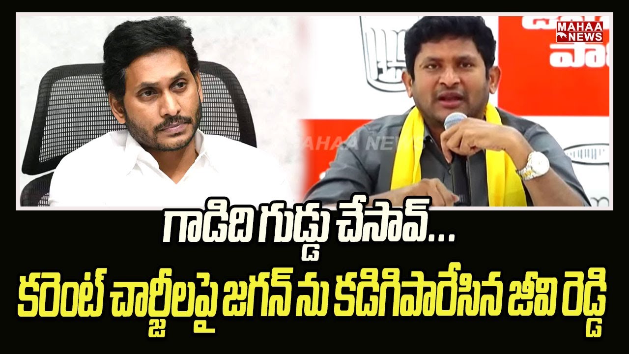 గాడిది గుడ్డు చేసావ్...కరెంట్ చార్జీలపై జగన్ ను కడిగిపారేసిన జీవి ...
