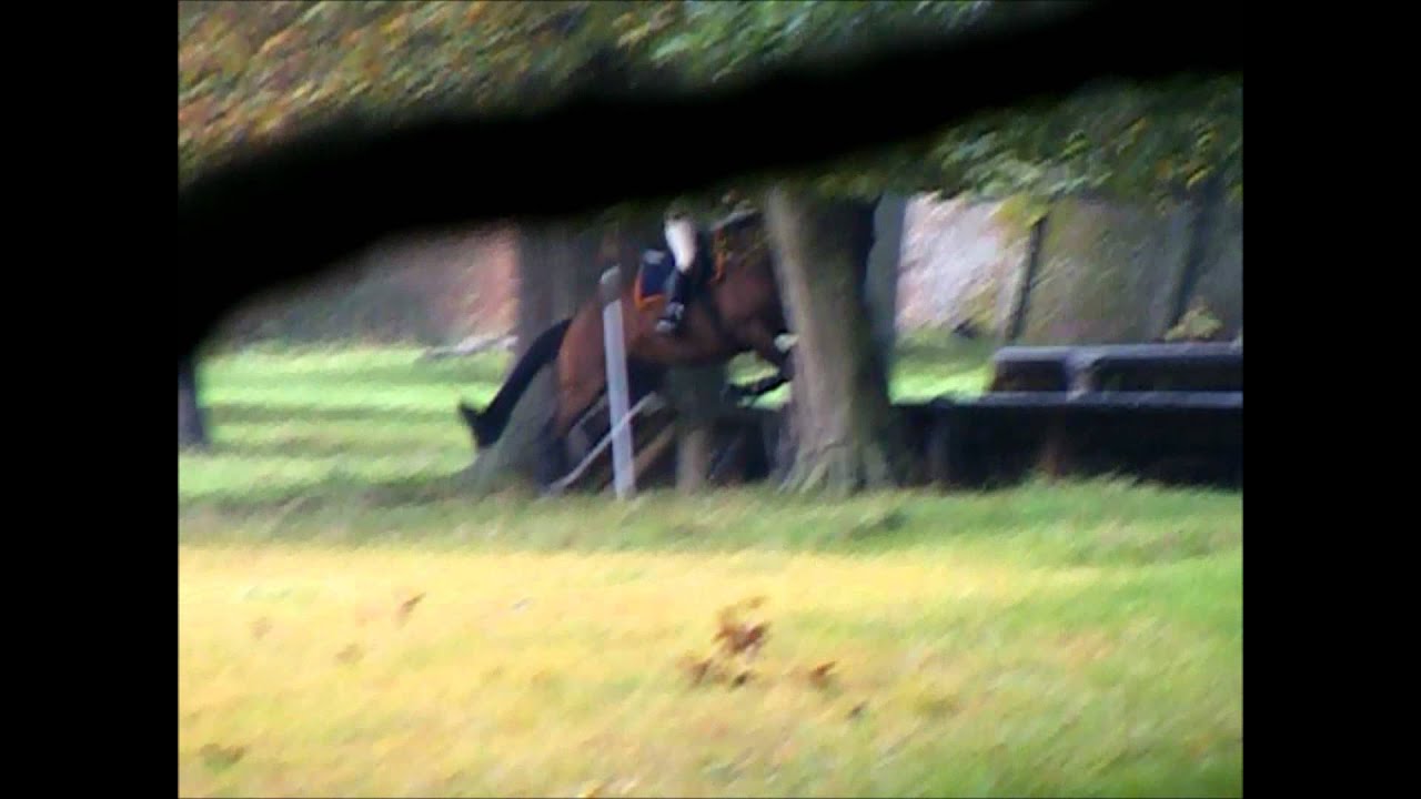 Fox at Nutwell court 25-9-11 :) - YouTube