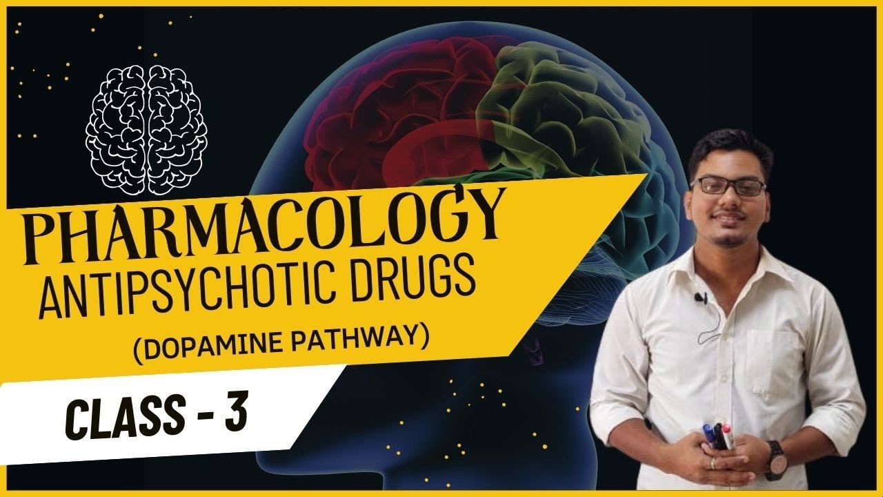 The Dopamine Pathway: Regulation and Movement" | Antipsychotic drugs ...